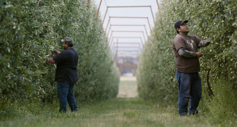 Our Solutions - WAFLA