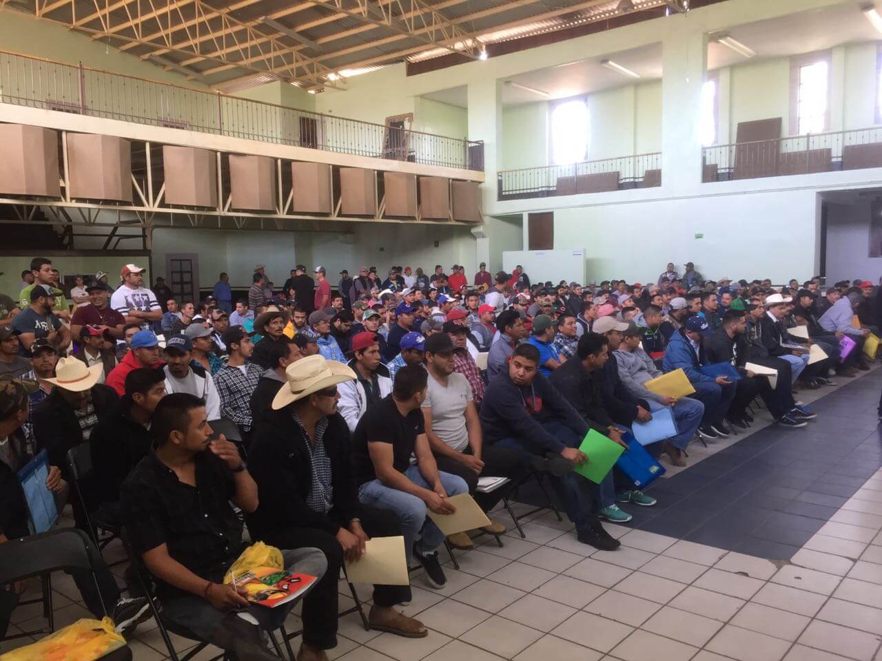 Our Principles - WAFLA