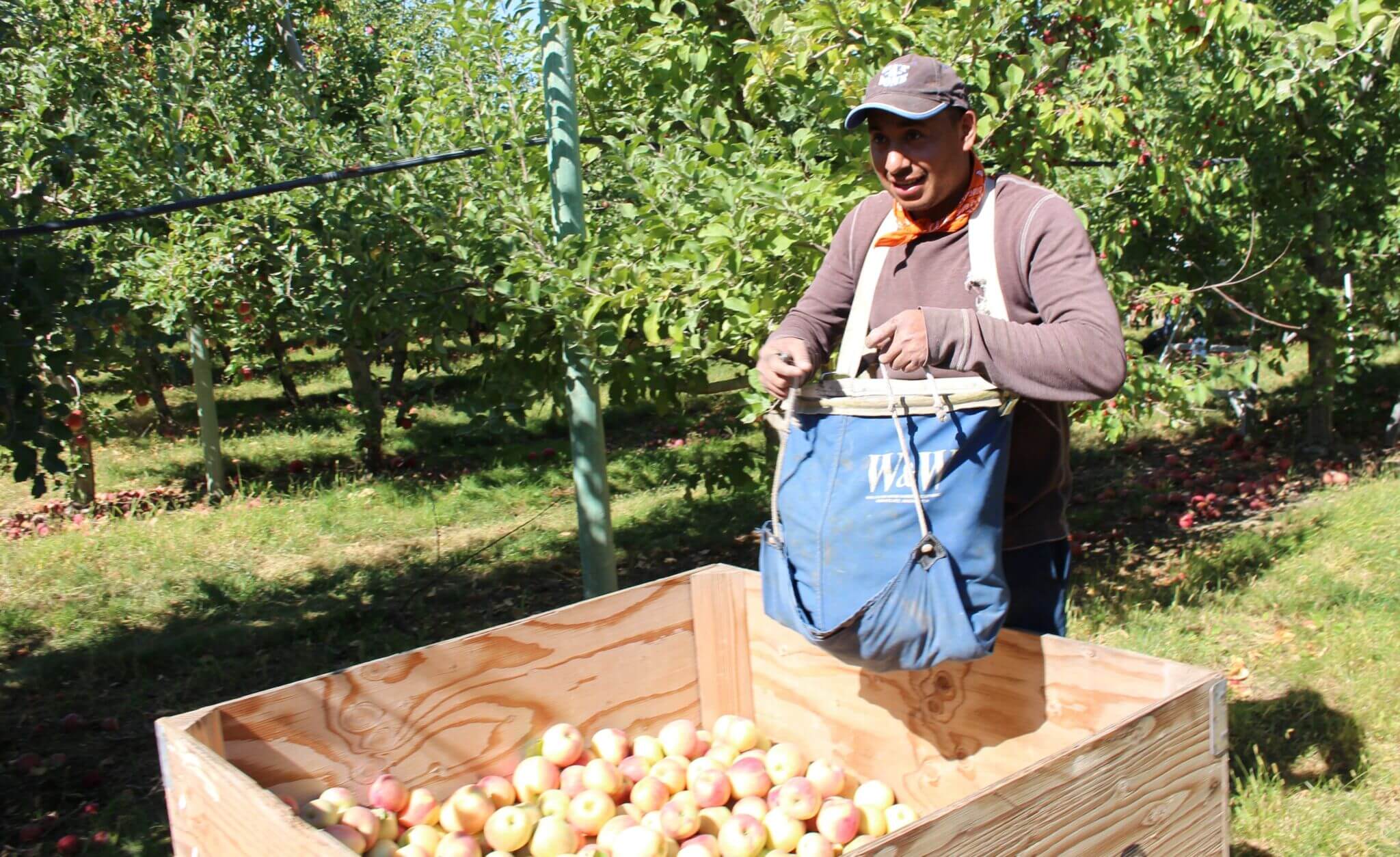 What Sets Us Apart - WAFLA