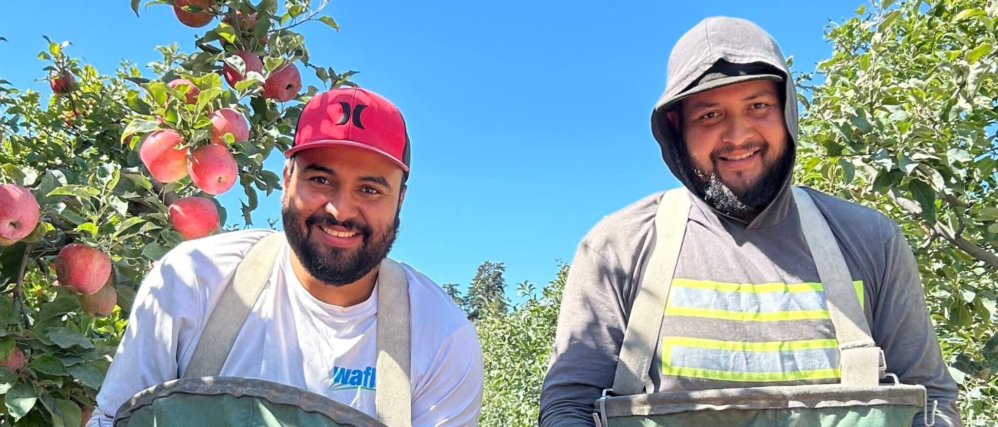 Finding a Job - WAFLA